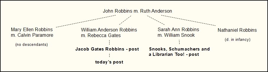 A Trip Around the World | Robbins Roots