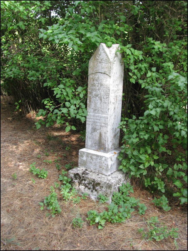 The Deweese Family | Robbins Roots