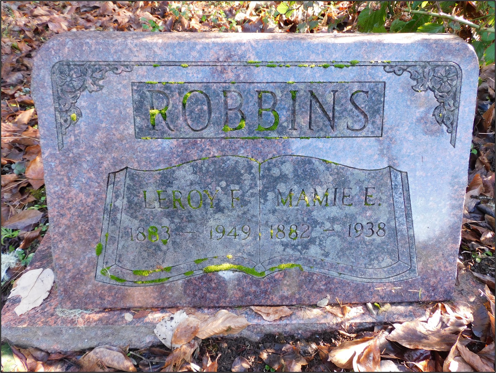 An Eddyville (Oregon) Family | Robbins Roots